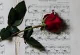 Western Cremation Alliance - Seattle & Portland Cremation